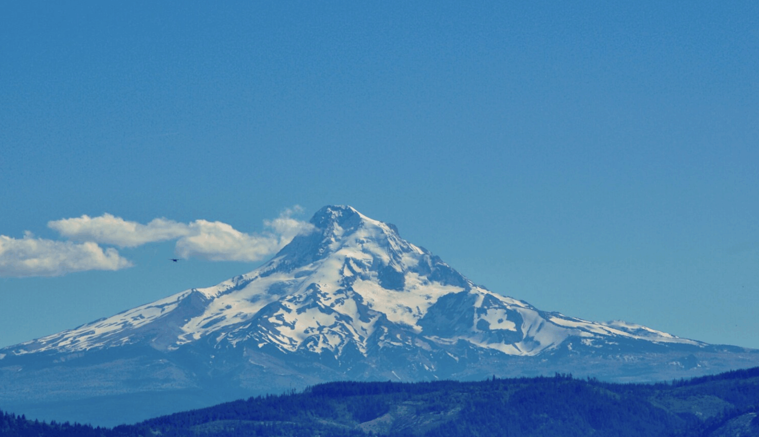 About DM Vans | Expertly Built Camper Vans & RVs